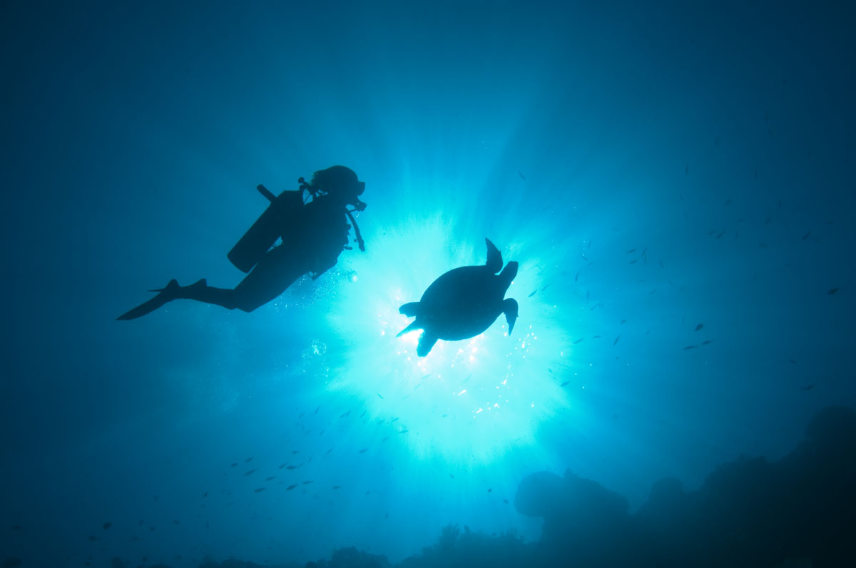 Diving In Sipadan - Seaventures Dive Rig