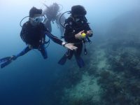 Divers’ Sign Language - Seaventures Dive Rig
