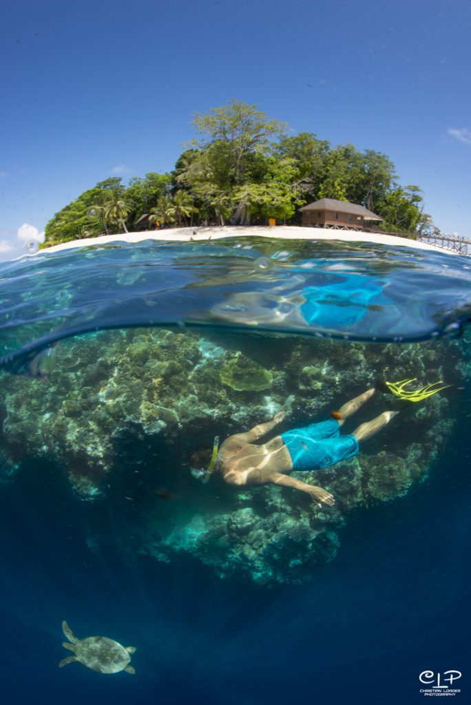 A Local’s Guide to Sipadan Island: History, People, and Must-See Dive ...