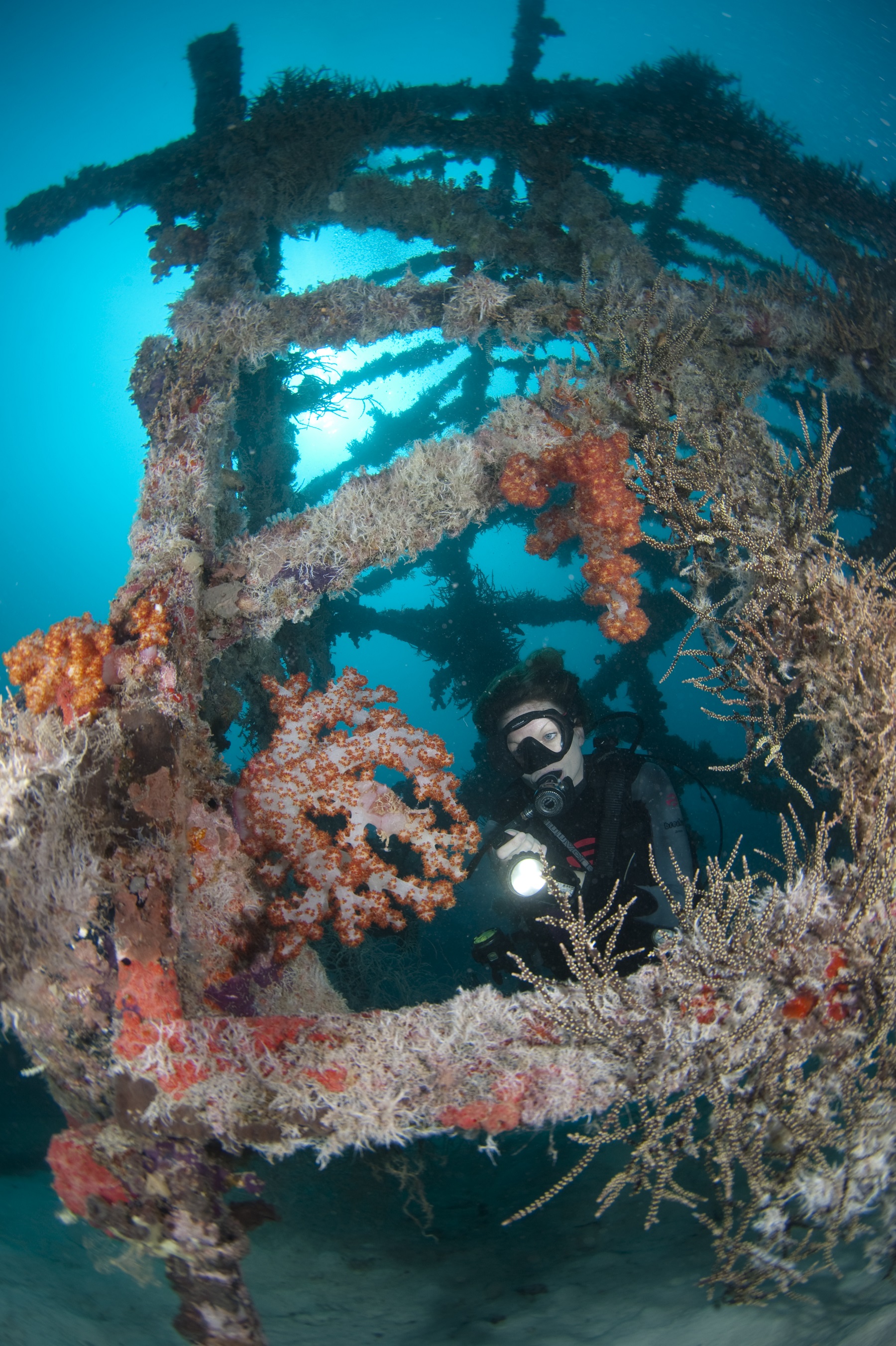 Malaysia’s Unique Oil Rig Hotel - Seaventures Dive Rig