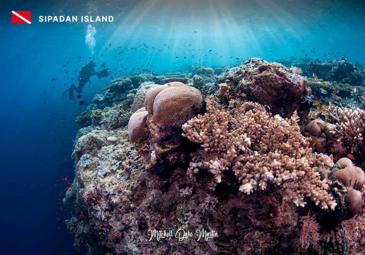 Dive Sipadan with Seaventures - Best Diving in Malaysia