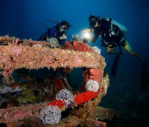 Dive Sipadan with Seaventures - Best Diving in Malaysia