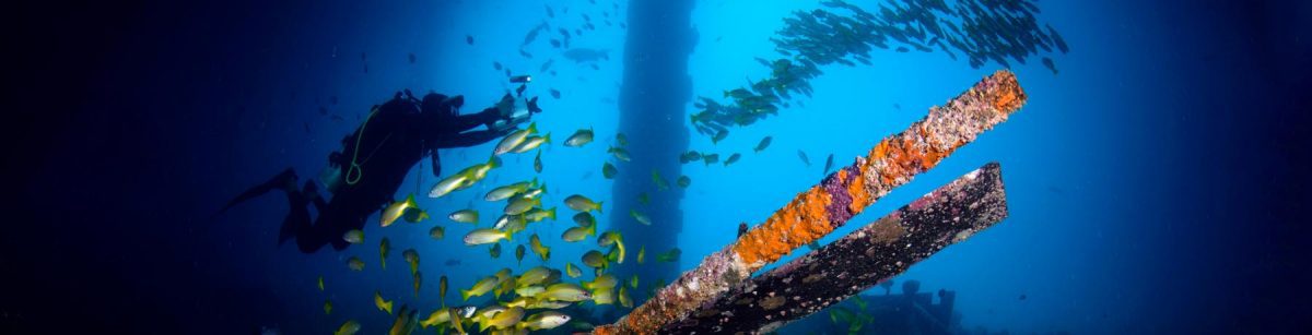 Divers’ Sign Language - Seaventures Dive Rig